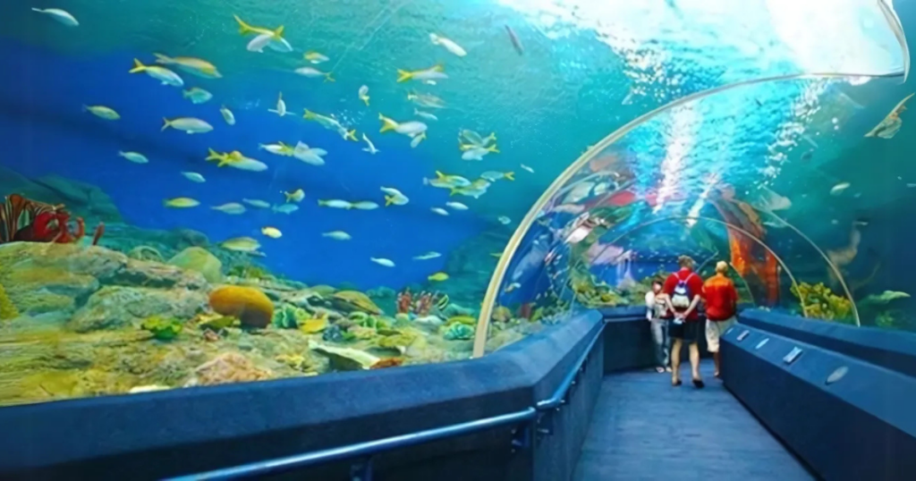 Explore the Oceanographic Institute – A Complete Guide to the Wonders ...